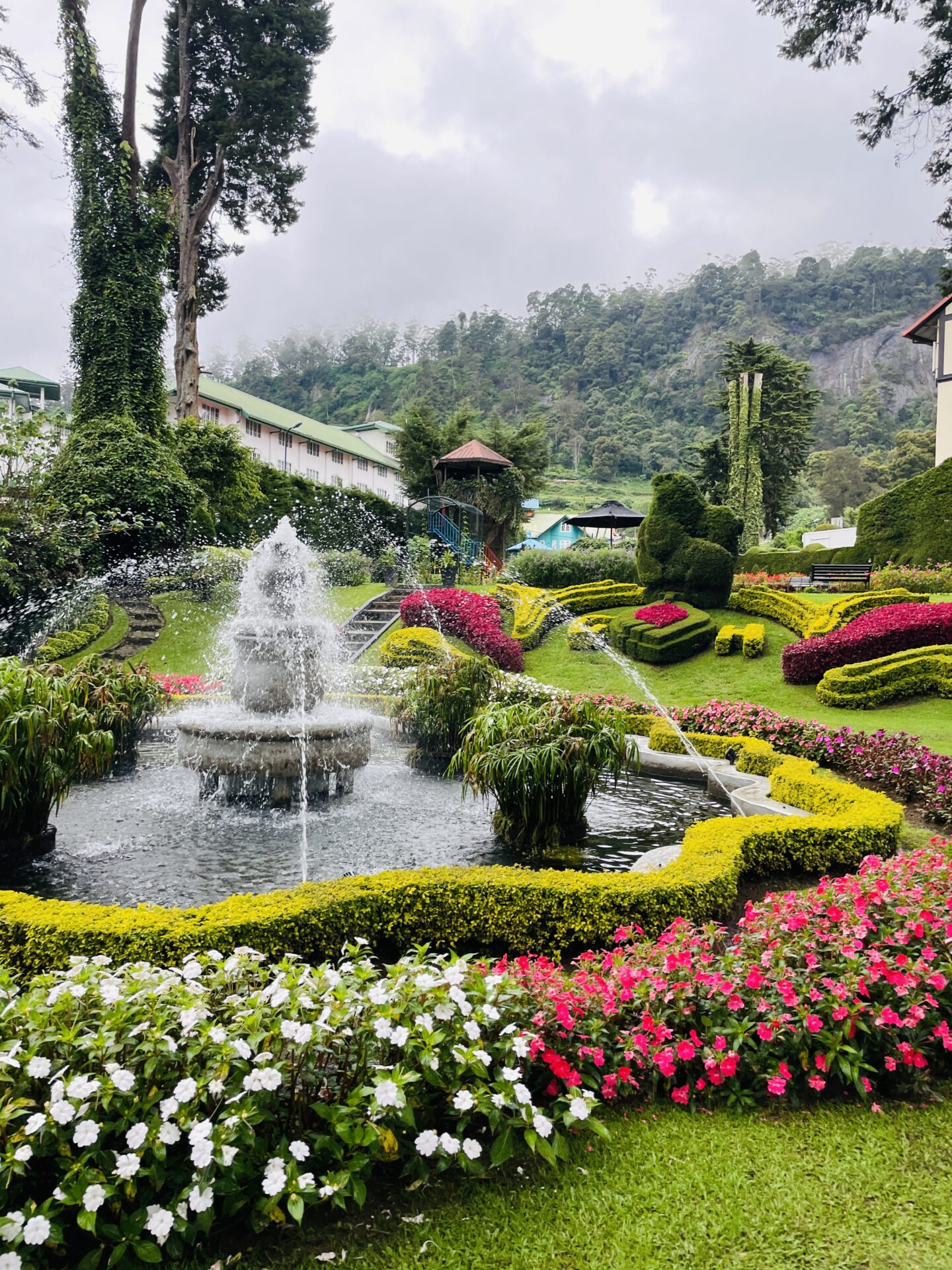 Where to stay in Nuwara Eliya: A Guide to the Best Hotels and Areas ...