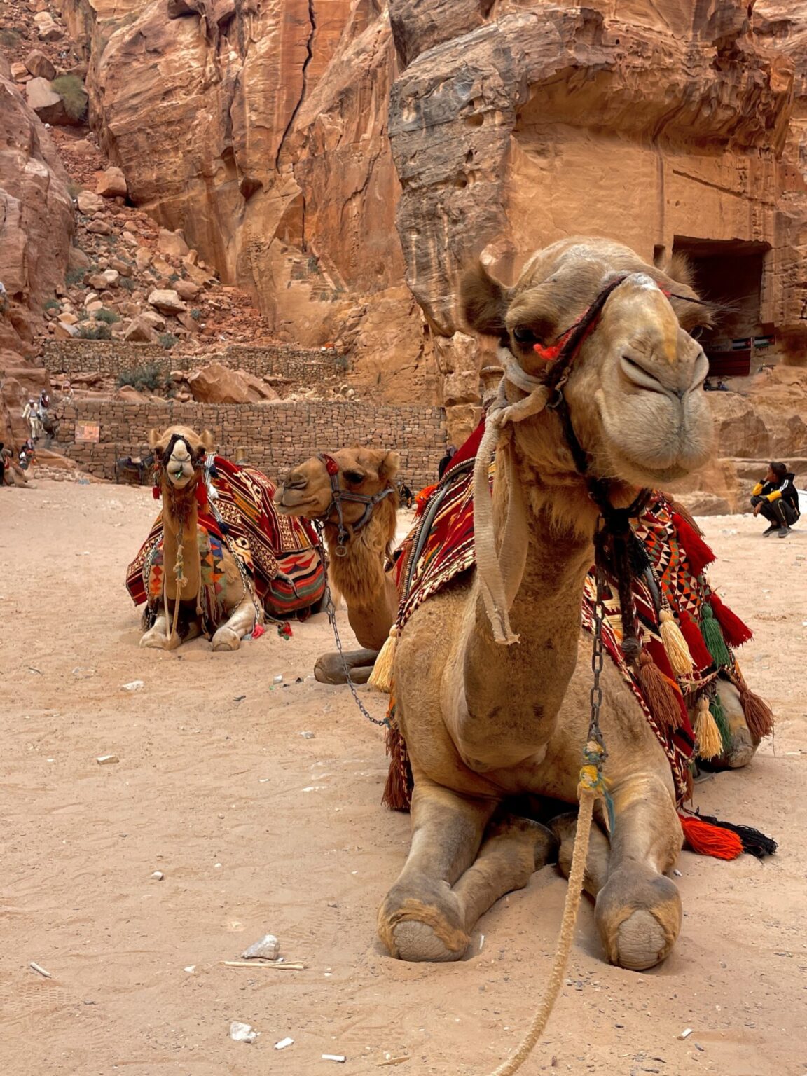 12 Photos to Inspire You to Visit Jordan - Girl on a Zebra