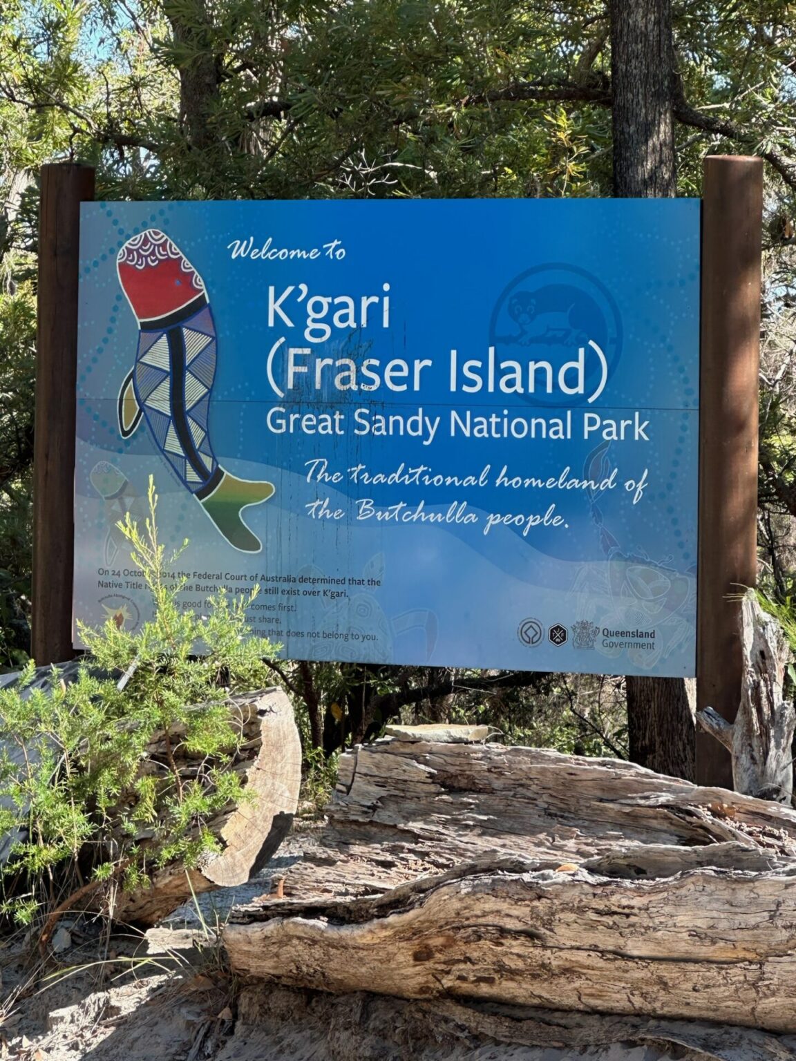 Self-Driving Fraser Island (K'gari): The Perfect Guide for Exploring ...