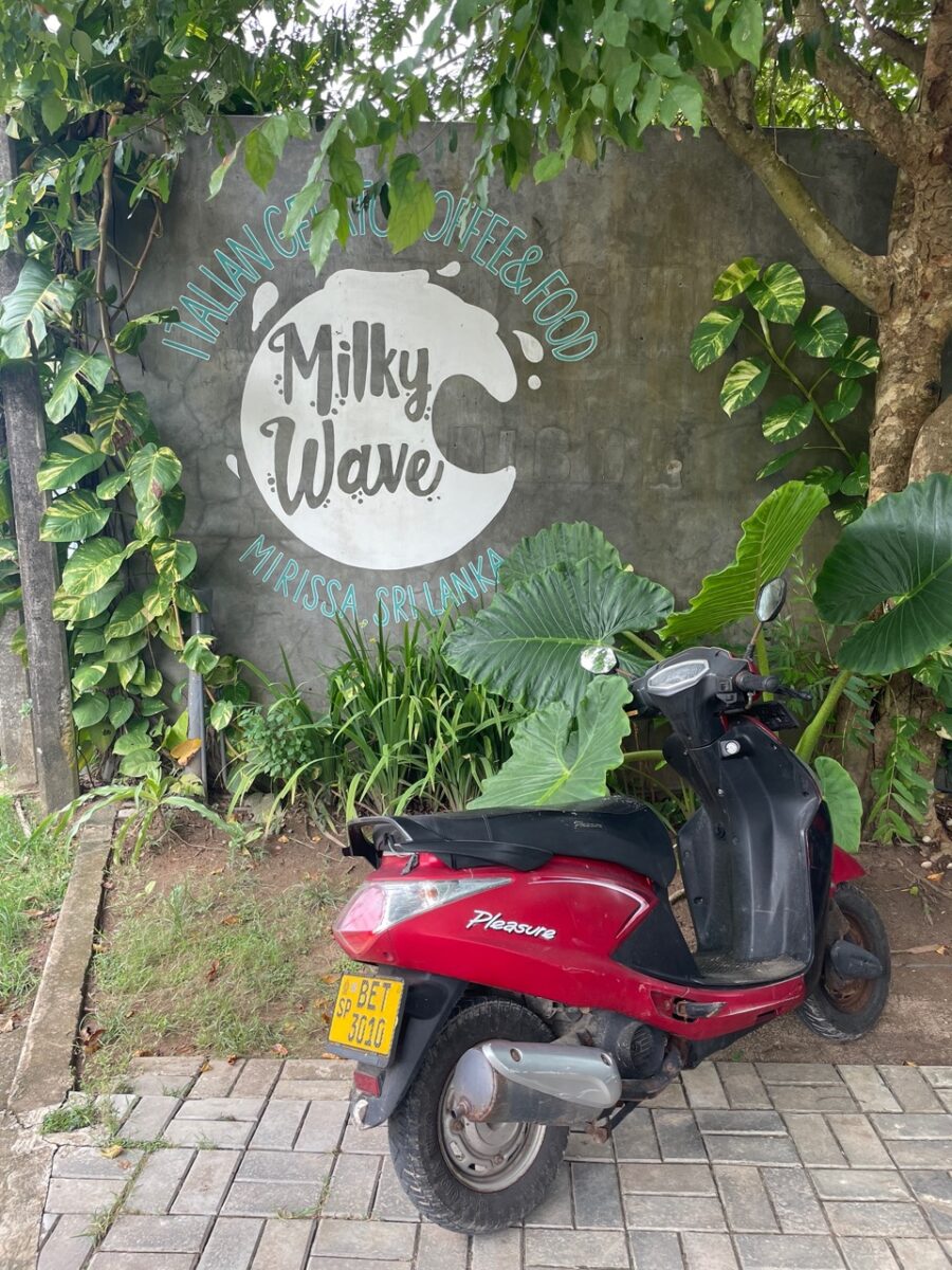 The 13 BEST Restaurants Mirissa, Sri Lanka: A Local's Guide to the Best ...
