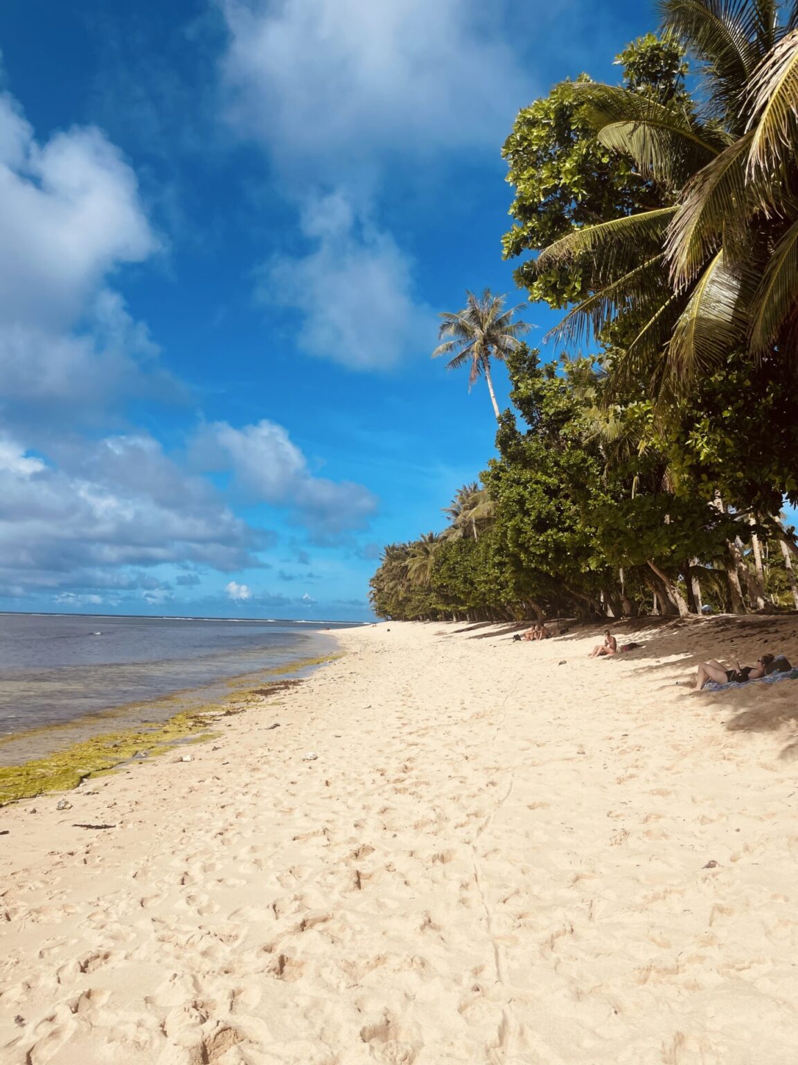 Is Siargao Worth Visiting? My Honest Review in 2026 - Girl on a Zebra