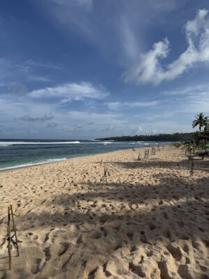 My Top 5 Beaches in Siargao I Visited (+ 1 Hidden Local Beach) - Girl ...