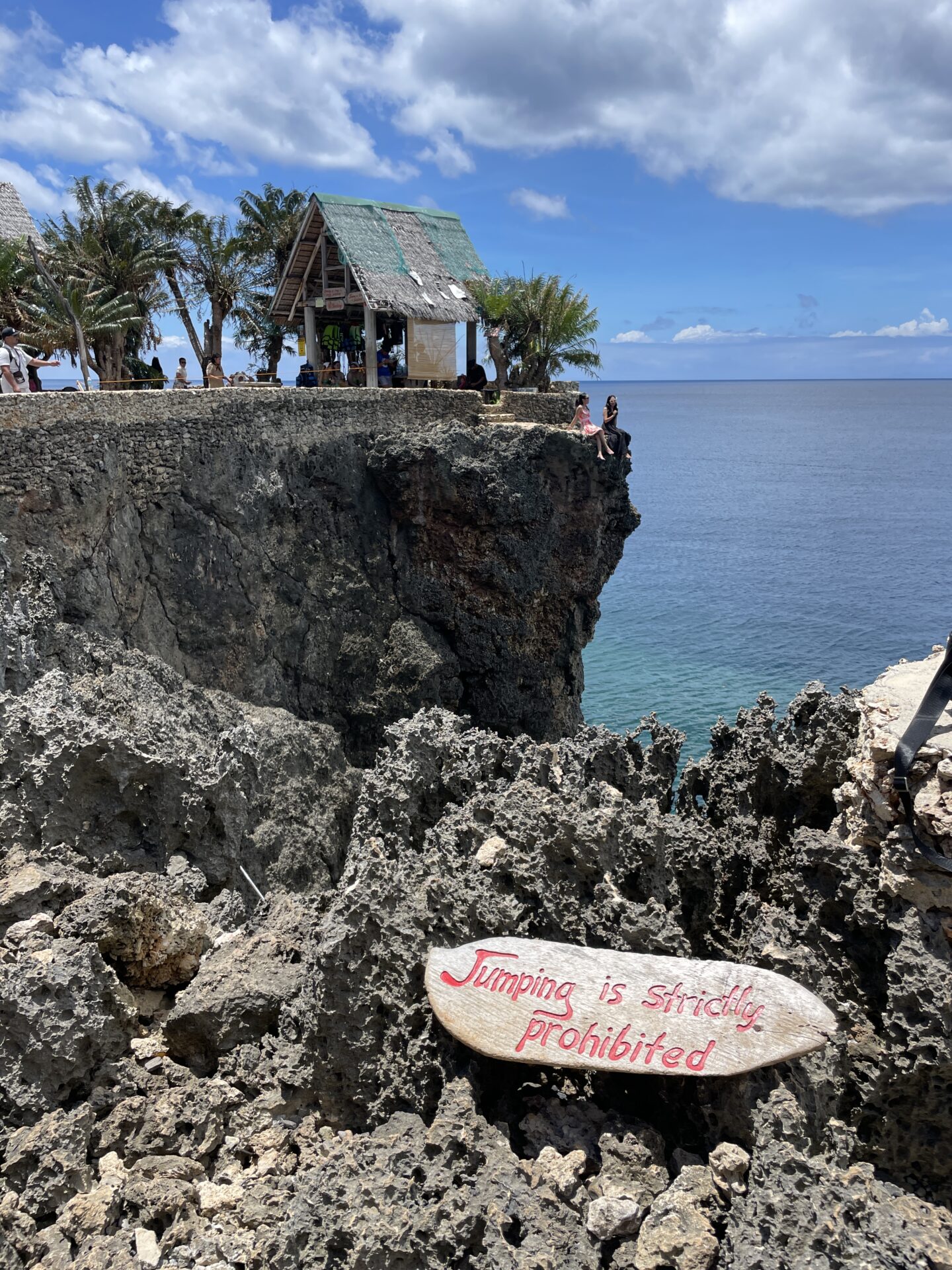 A Quick Guide to Pitogo Cliff Siquijor: My Honest Review & Everything ...