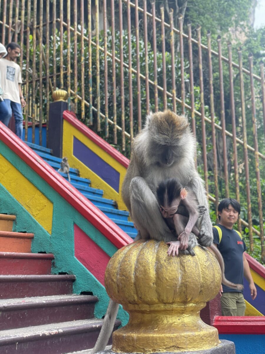 The 7 Best Things to Do in Kuala Lumpur Malaysia: My Favorite ...
