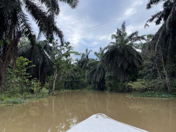 10 Day Borneo Itinerary: What I Did , Loved & Learned in The Land Below ...