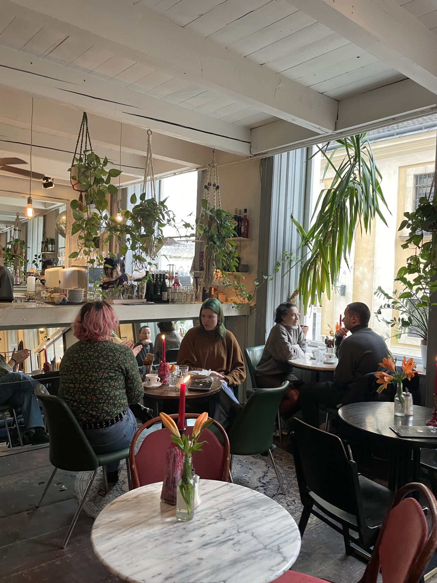 13 Best Restaurants in Vienna: My Top Picks for Classics, Cozy Cafés ...