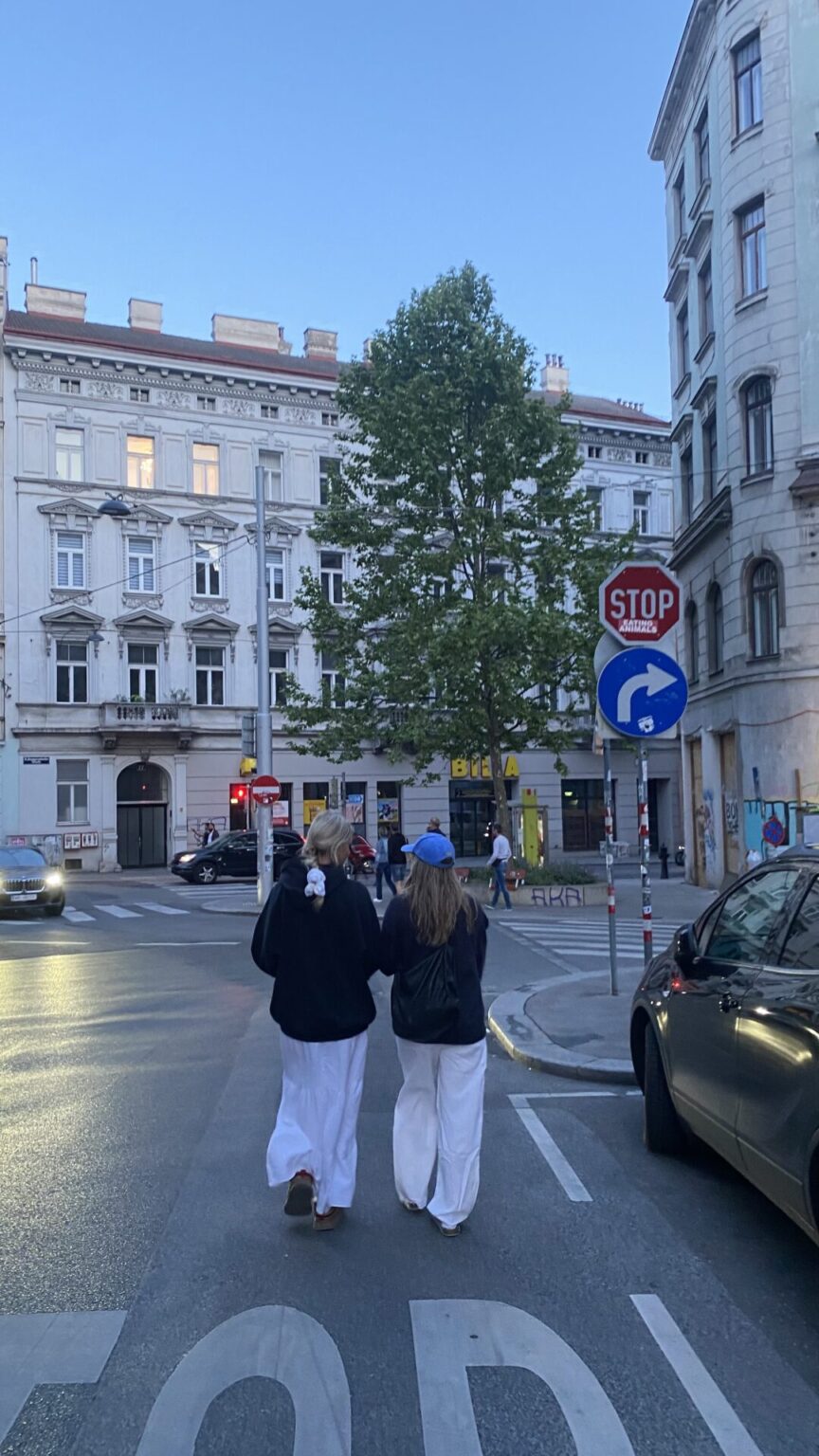 The Ultimate 3 Day Vienna Travel Itinerary: How I Spent a Weekend in ...