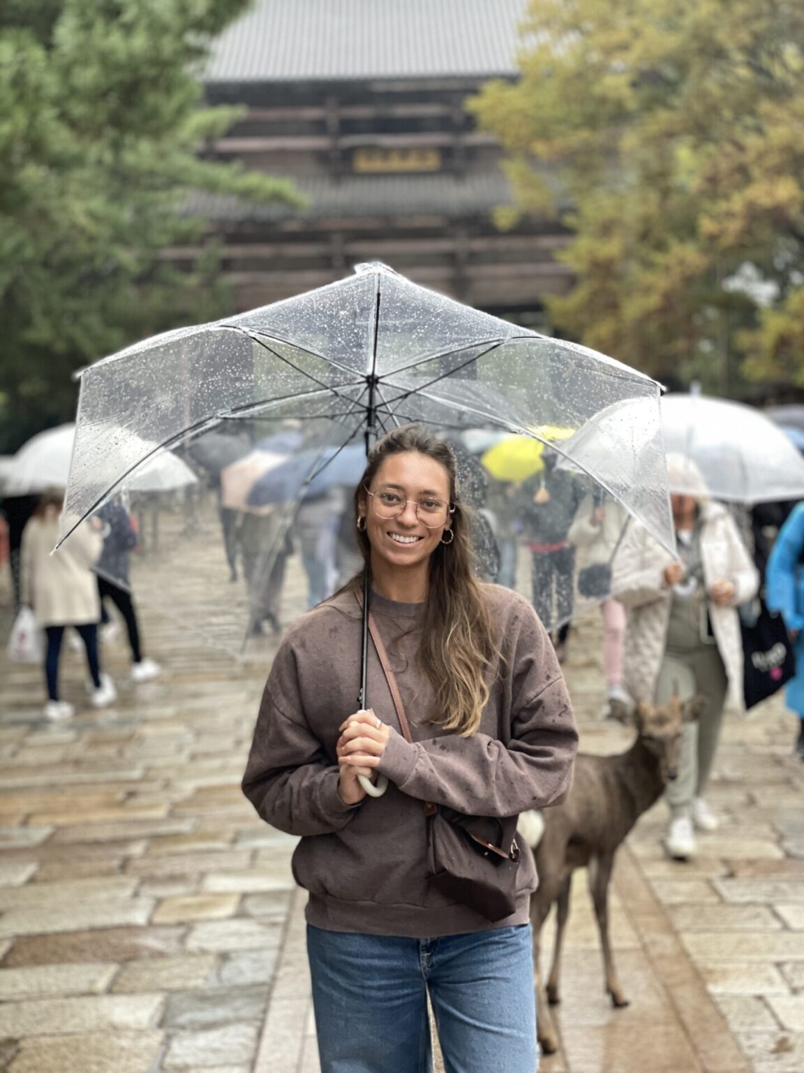 Is Nara Worth Visiting? My Honest Review 2026 - Girl on a Zebra