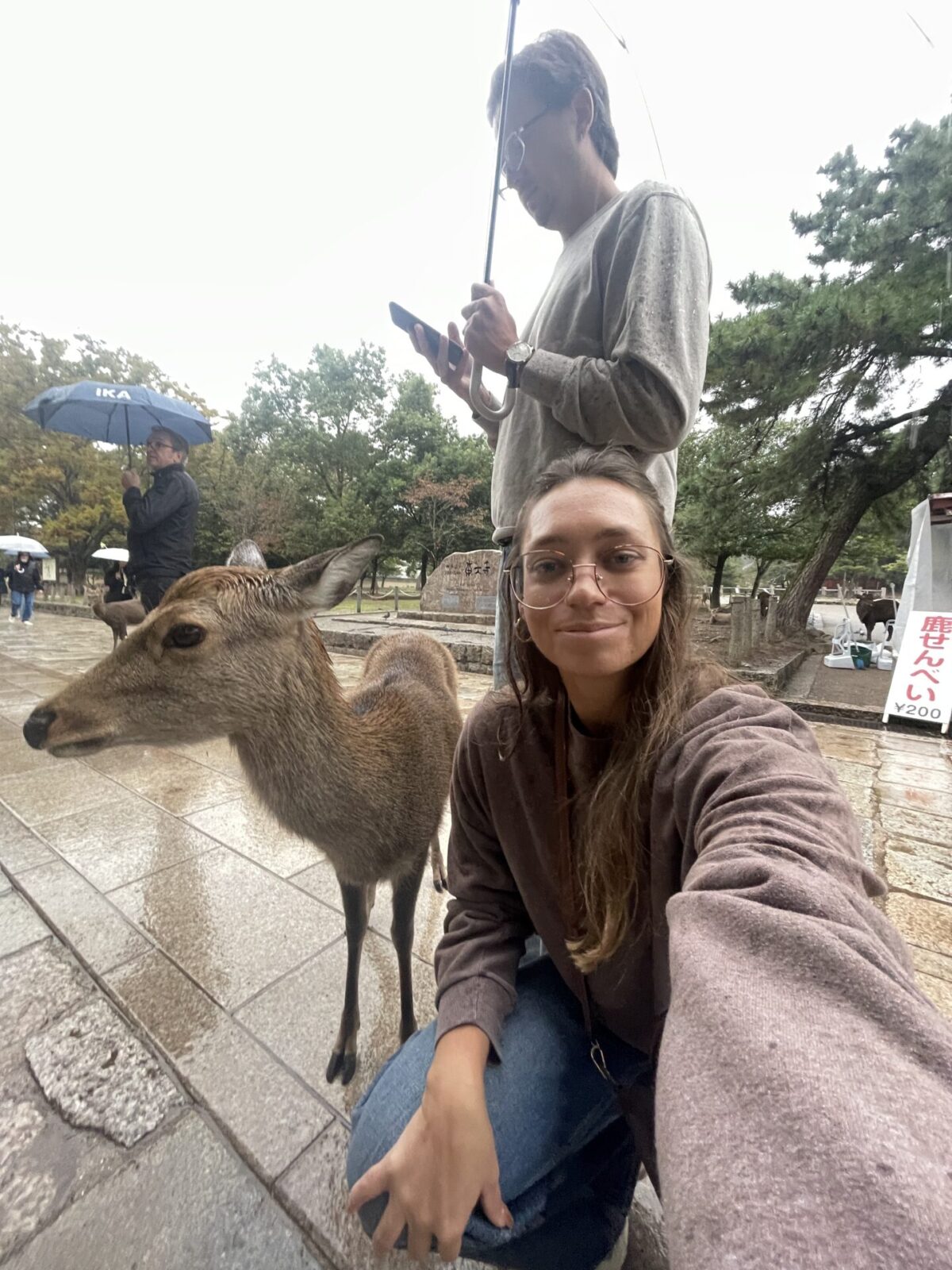 Is Nara Worth Visiting? My Honest Review 2026 - Girl on a Zebra