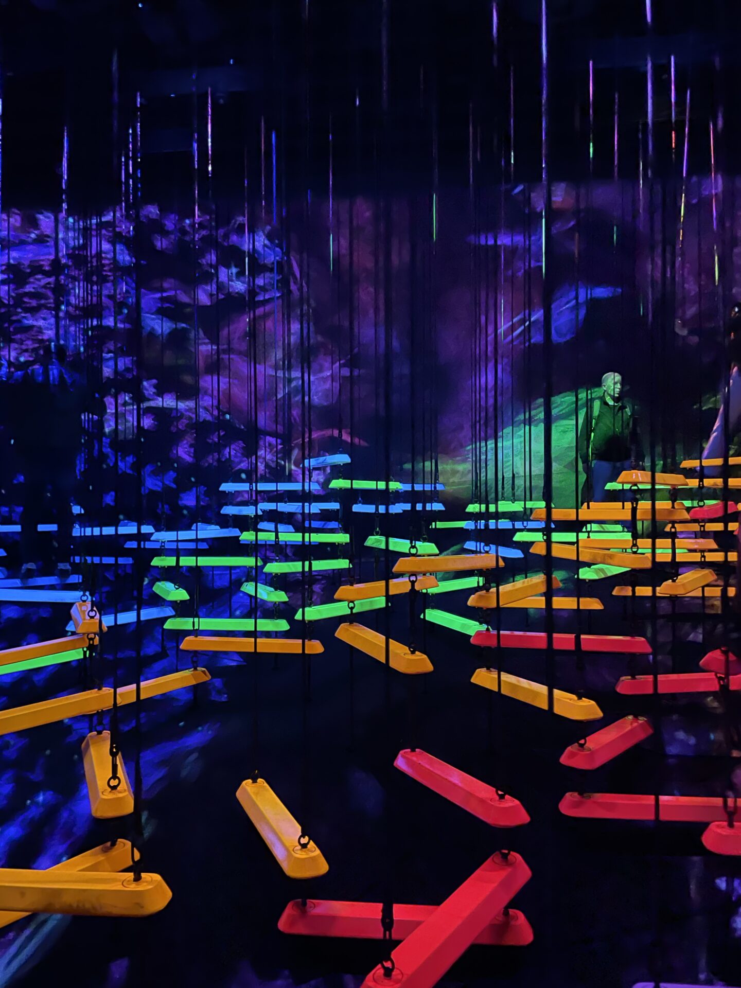 My Teamlab Planets Review: Is Teamlab Planets Worth it? (2026) - Girl ...